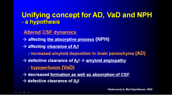 [기능의학적 관점에서 본 치매] 치료 가능한 치매 ‘정상압 수두증’ [306호]